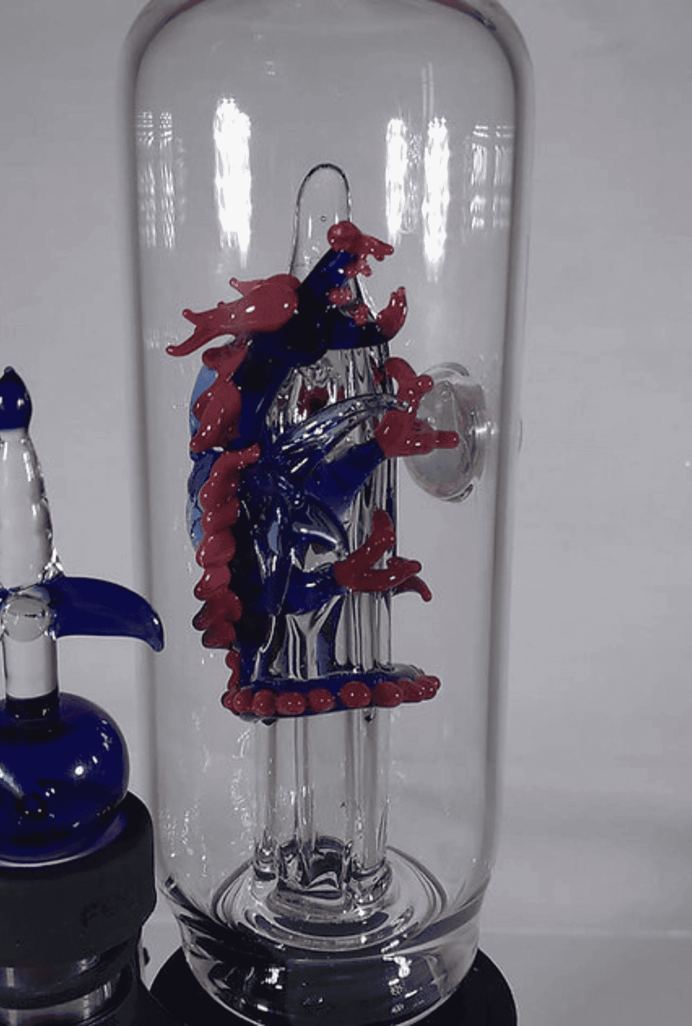Ninja Turtle – GiggleGlass